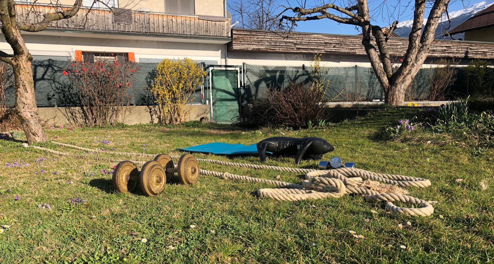 Das Home-Dojo - Judo Austria